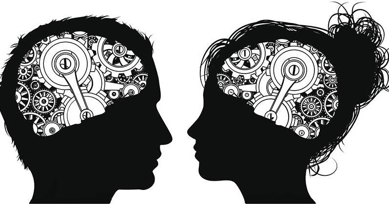 The Gendered Brain: The Neuroscience that Shatters the Myth of the ...