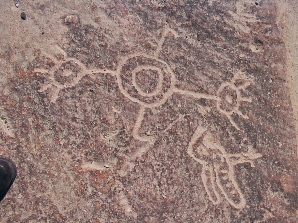 TRAVEL AND TOUR (viajes y turismo): TORO MUERTO