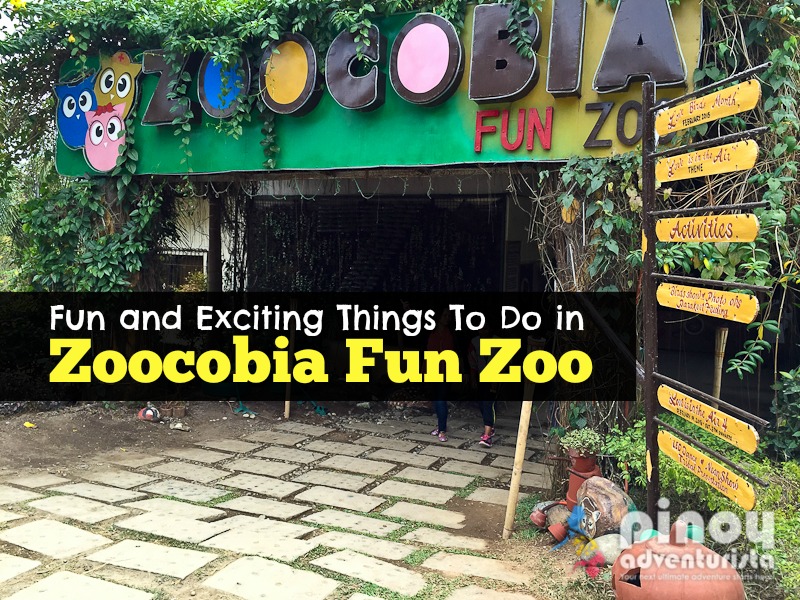 TOP PICKS: 15 Fun and Exciting Things To Do in Zoocobia Fun Zoo You ...