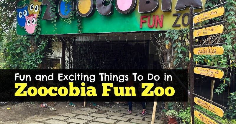 TOP PICKS: 15 Fun and Exciting Things To Do in Zoocobia Fun Zoo You ...