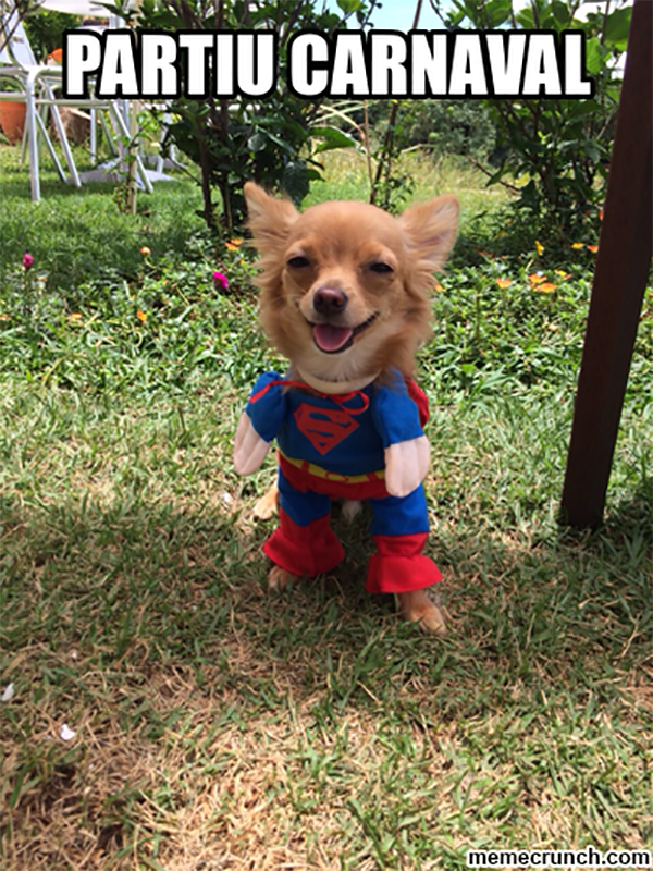 13 Memes incríveis sobre Carnaval ~ ZapZap da Zoeira