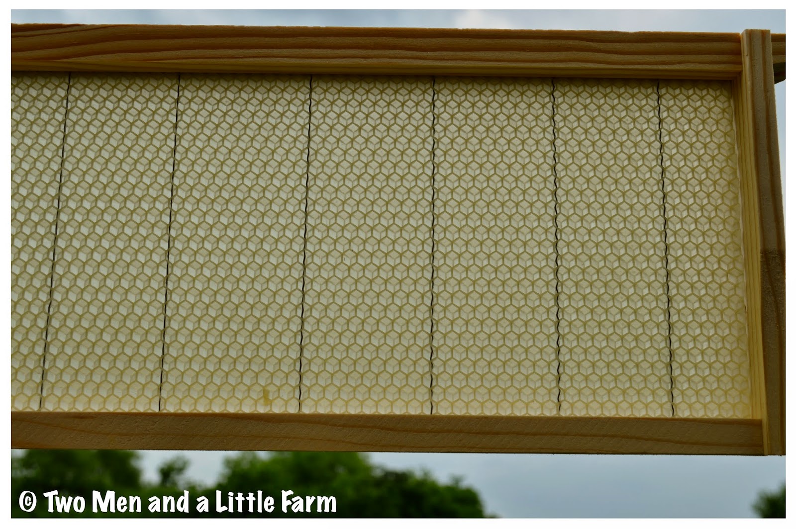 Two Men and a Little Farm: PARTS OF A BEEHIVE AND WAX FOUNDATION