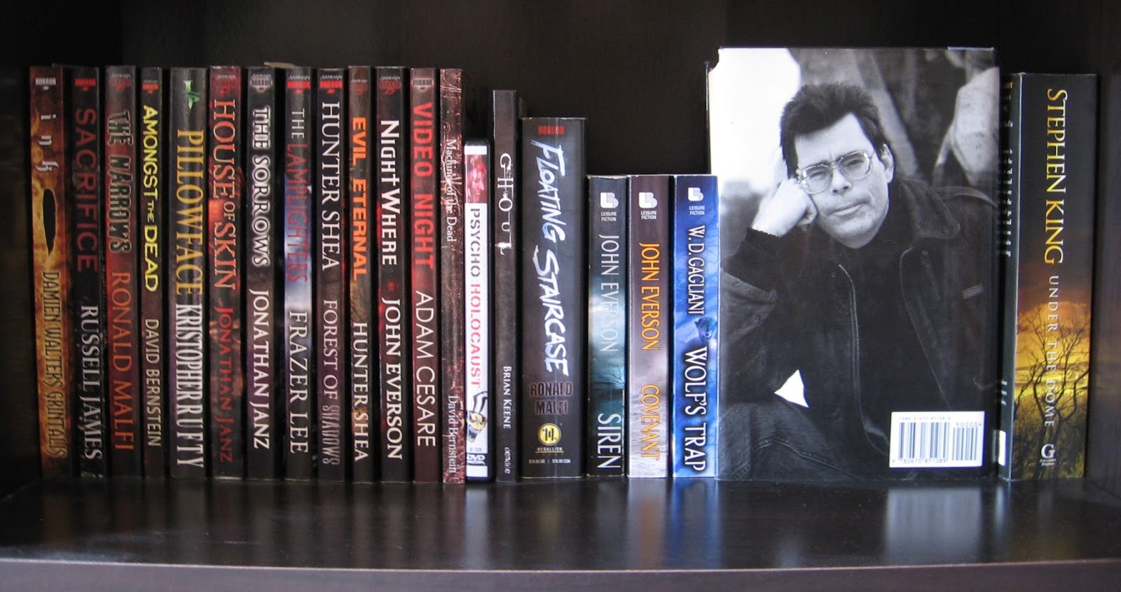 Dark Lucidity: What's on My Horror Bookshelves