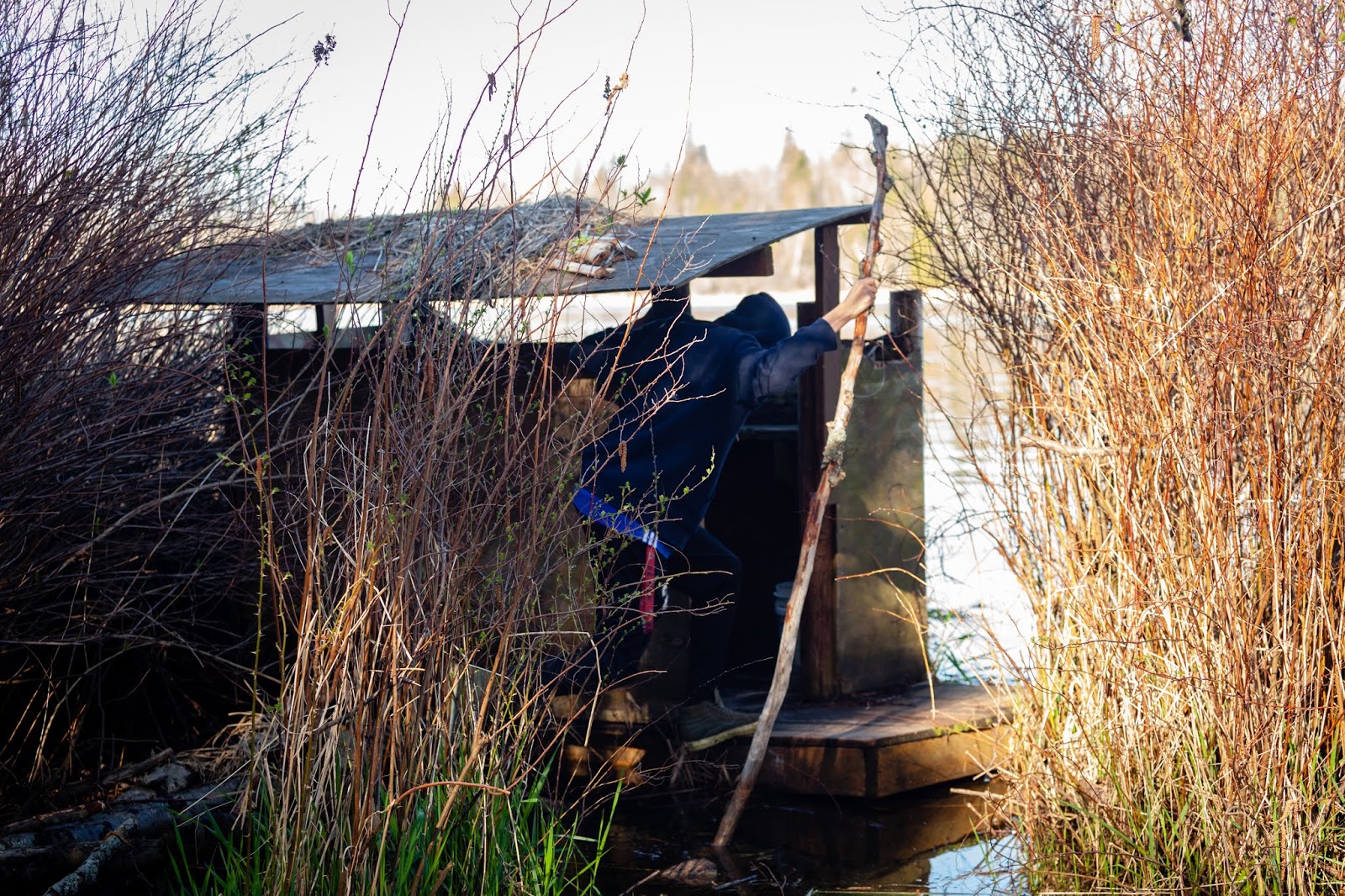 An Assignment: Birding - Parks Academe