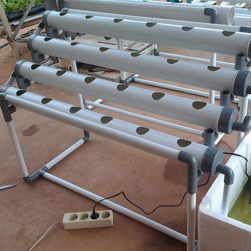 CUSTOM INSTALASI HIDROPONIK SISTEM DFT/NFT - Petani Kreaktiv