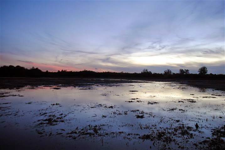 God's wonderful creation: Simple Serenity at Southern Semakau