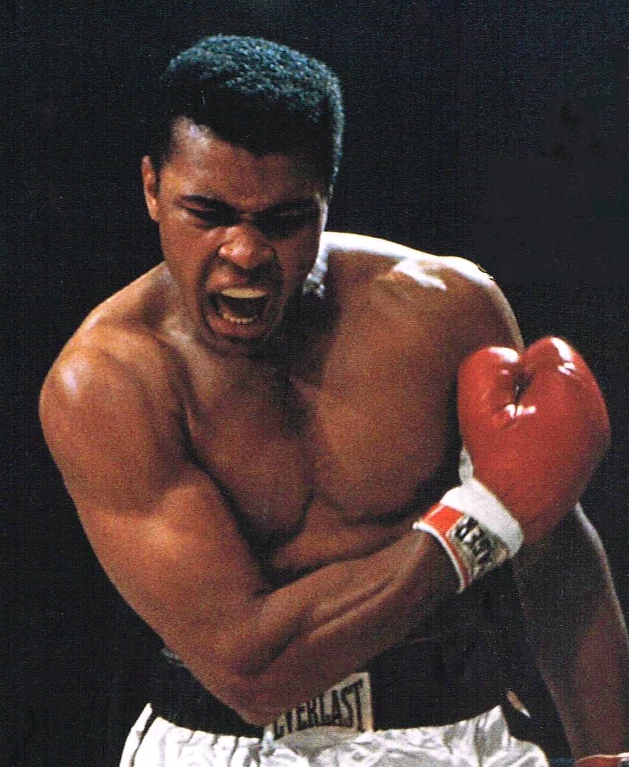 oz.Typewriter: Actual Size of Ali's Fist