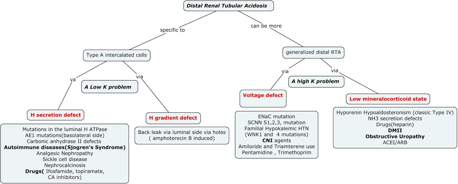 Nephron Power: Concept Map: Distal Renal Tubular Acidosis
