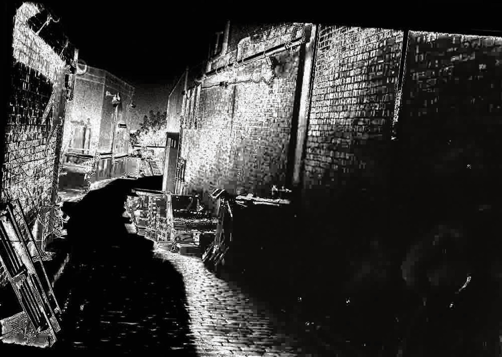 Dani Cardoso Photo: DIGITAL SOLARISATION