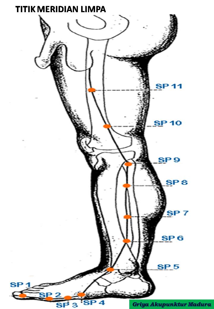 GRIYA AKUPUNKTUR MADURA: TITIK MERIDIAN LIMPA