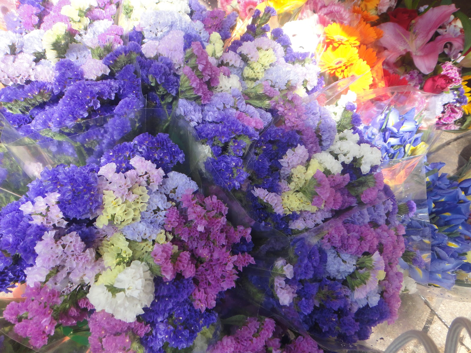 It All Appeals to Me: FLOWERS in Europe