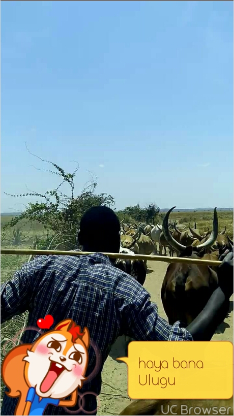 Sahaniulugu: Historia ya wasukuma