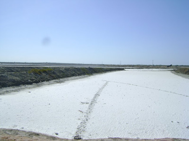 HISTÓRIA E DIVERSIDADE CULTURAL: RN - Salinas de Areia Branca no Rio ...