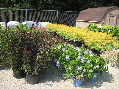 Rotary Botanical Gardens - Hort Blog: The Shrubbery Arrives!