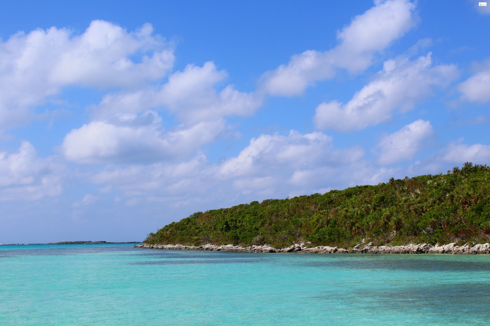 Reef Snorkeling and Sandbar Getaway Port Excursion, Coco Cay | Caravan ...