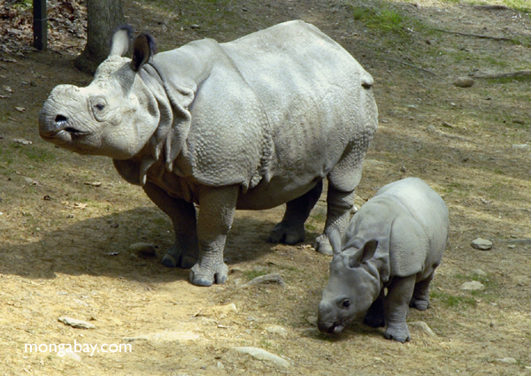 Geo 5 - Equatorial Climates: Equatorial Climates