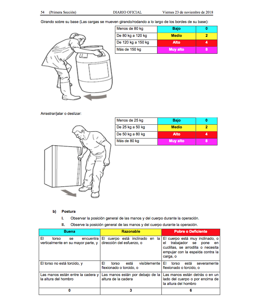 NOM-036-1-stps-2018, factores de riesgo ergonómico en el trabajo ...