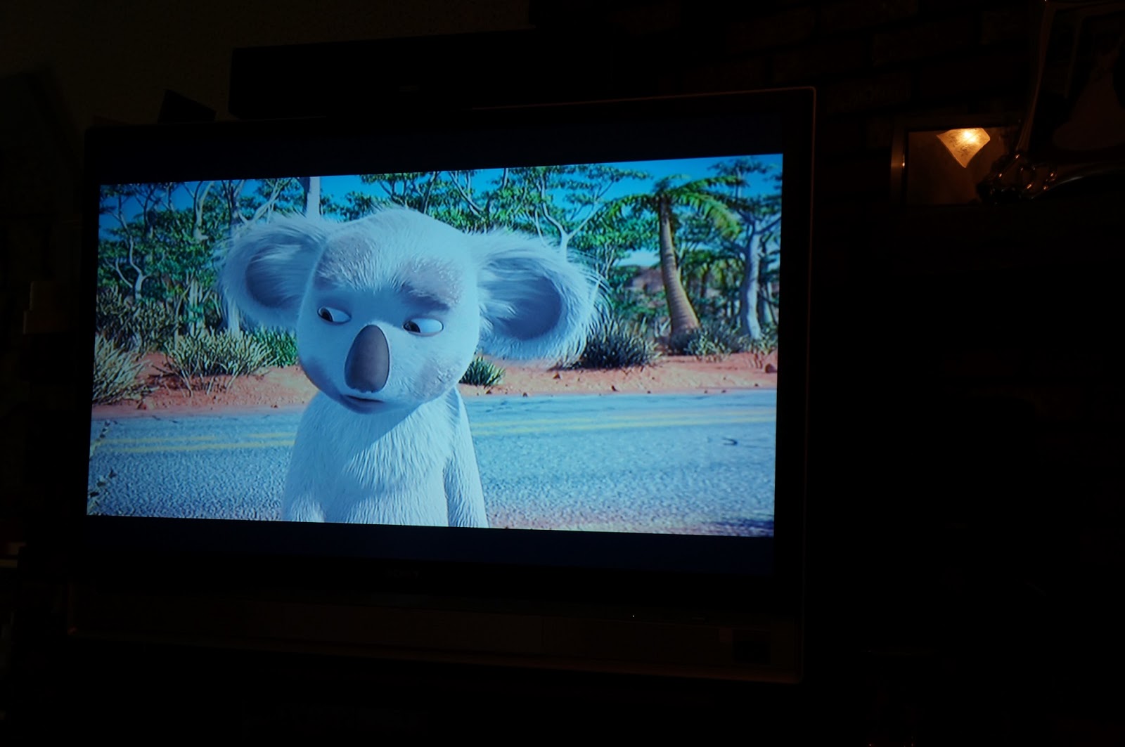 Evan and Lauren's Cool Blog: 5/7/13: Kaola Kid DVD