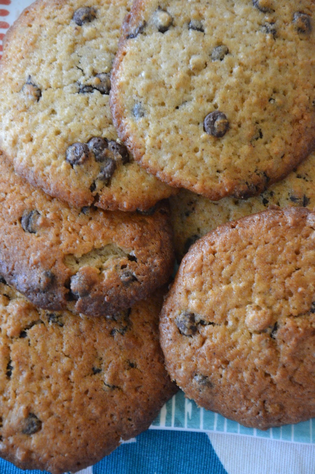 Schoko Haferflocken Cookies