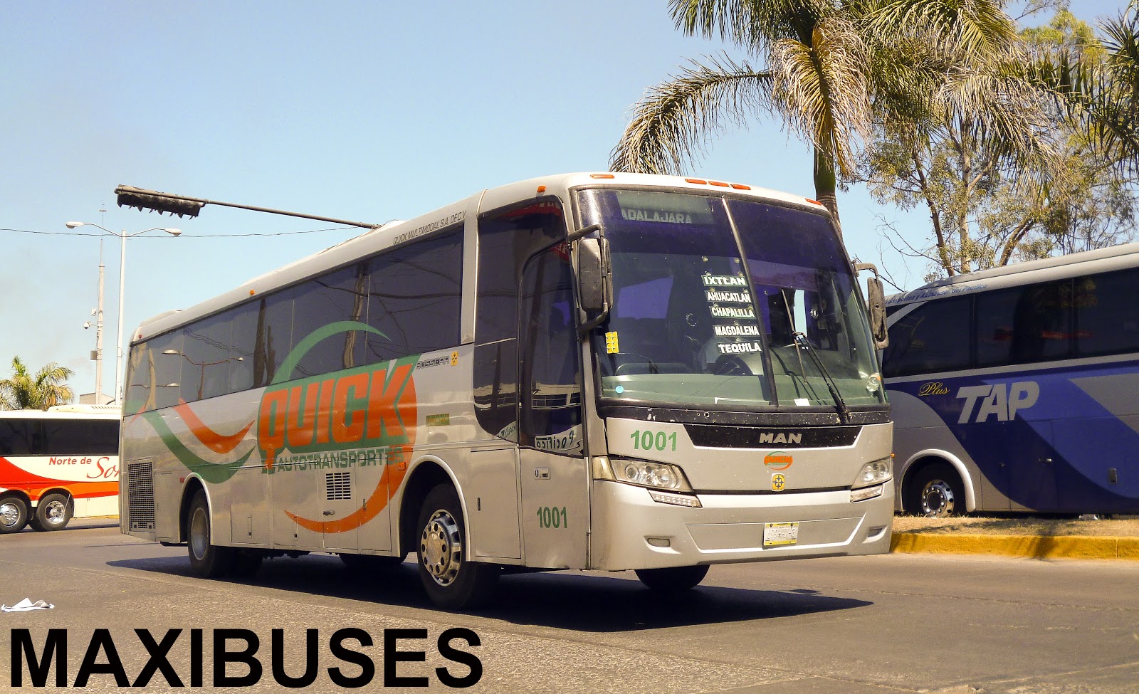 MAXIBUSES: QUICK AUTOTRANSPORTES