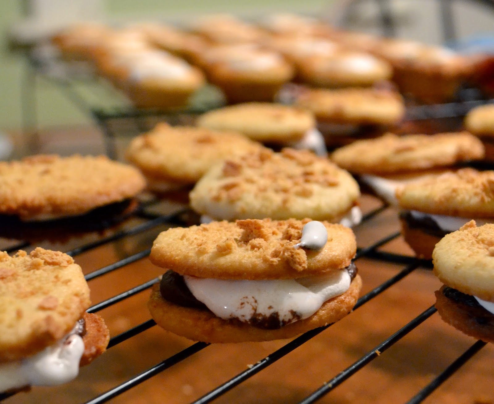 Simple Savory & Satisfying: Smores Sandwich Cookies