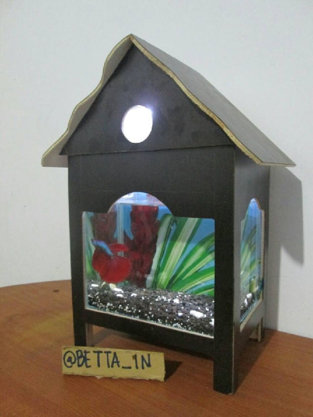 Aquarium Cupang Unik? Berikut Gambarnya Yang Cantik - Rahasia Trik Mancing