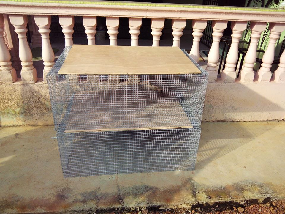 Penggolek Jalanan: SANGKAR ARNAB D.I.Y