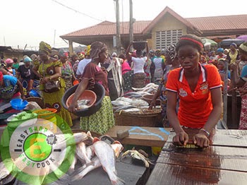 iFoodS - Initiative for Food Safety: MAKOKO FISH MARKET - Sharks ...