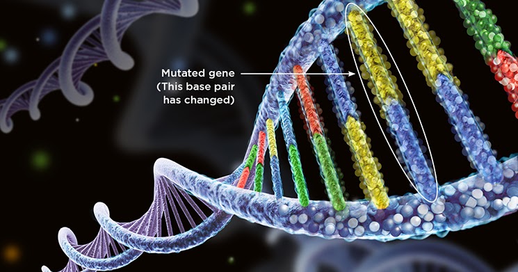 Modern Science refutes the Evolutionary theory: Random beneficial DNA ...