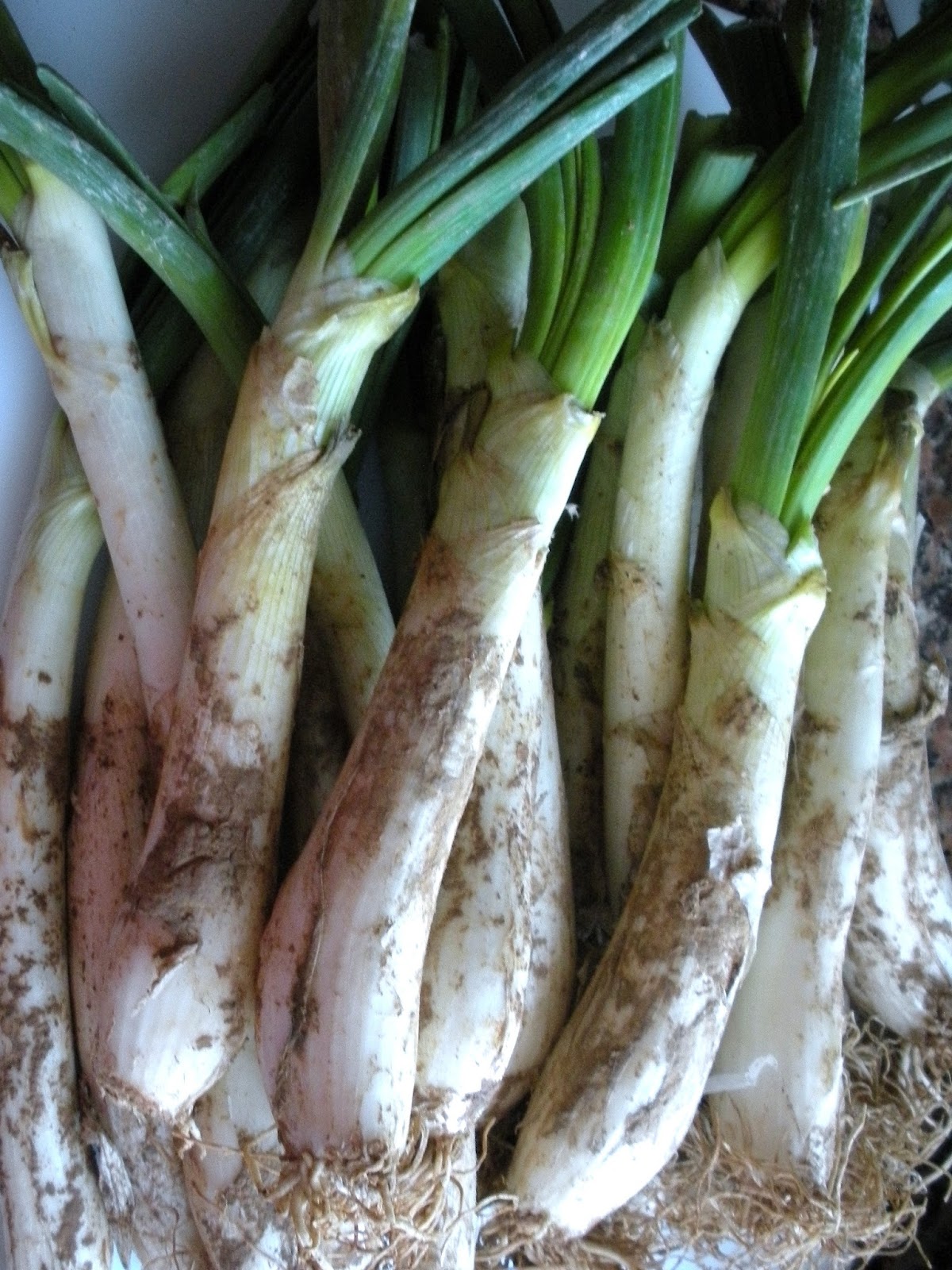 Aquí se cocina: Calçots en tempura