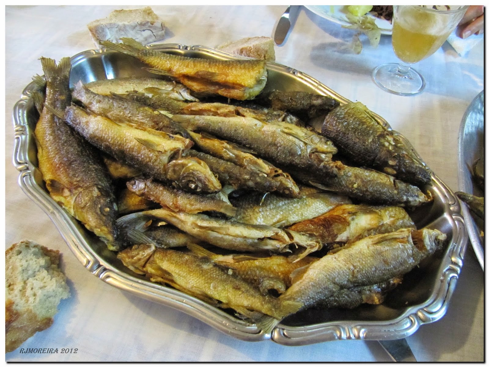 Finding Douro: Freshwater fish / Peixe de água doce - Peixes do Rio