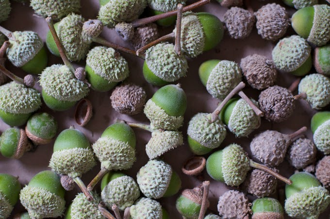 Velvet Acorns DIY - Peridot Skies