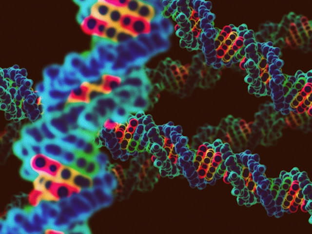 Vallentuna: Alelos Letais