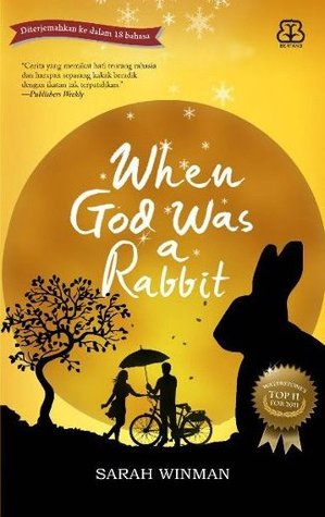 Reseña: Cuando Dios era un conejo - Sarah Winman - Un viaje en papel