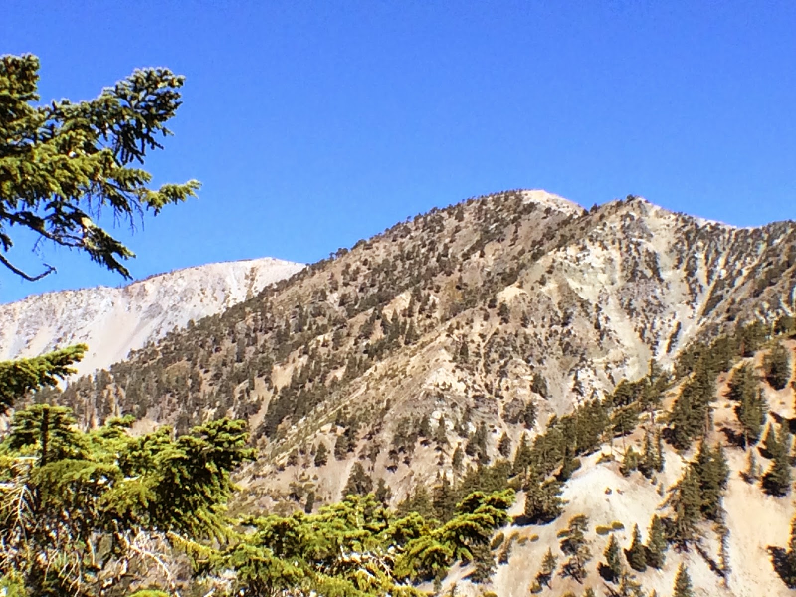 Hiking Mt. Baldy | East West Hike