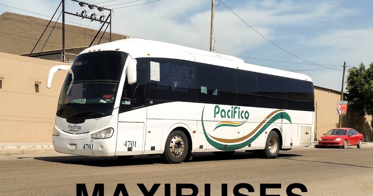 MAXIBUSES: TRANSPORTES DEL PACIFICO
