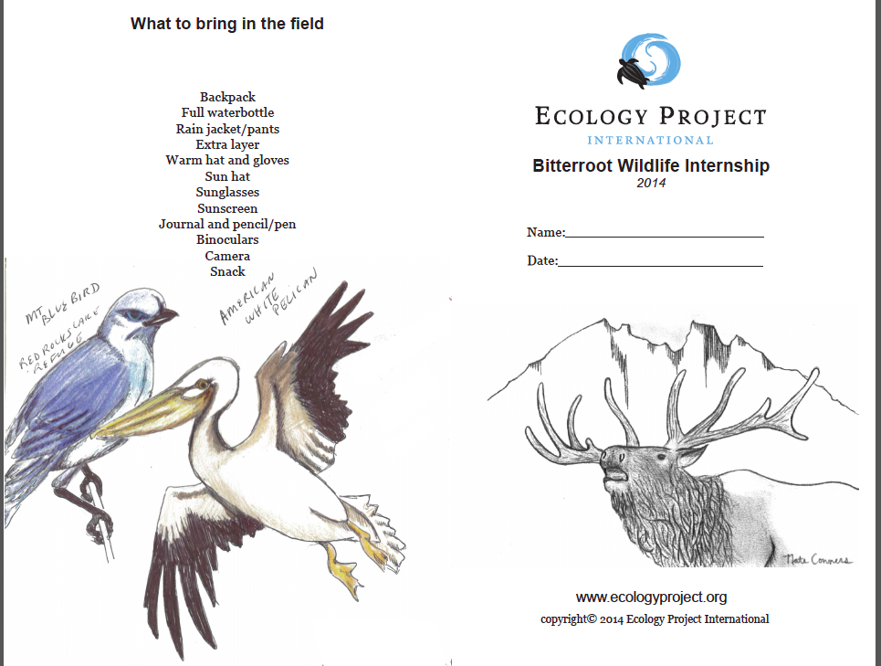 Wilderness and Civilization Blog: Ecology Project International by Nate ...