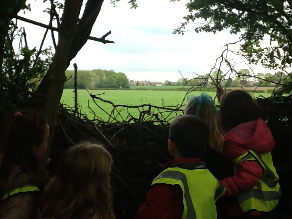 Wheelock Primary School: Nature Detectives - Wheelock Rail Trail