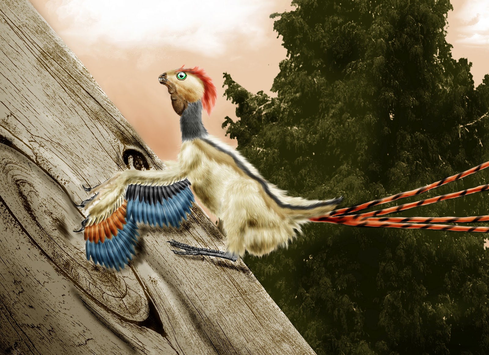 ART Evolved: Life's Time Capsule: The Feathered Dinosaur Gallery