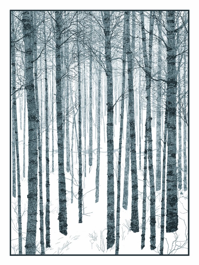 INSIDE THE ROCK POSTER FRAME BLOG: Dan McCarthy The Winter Print On ...