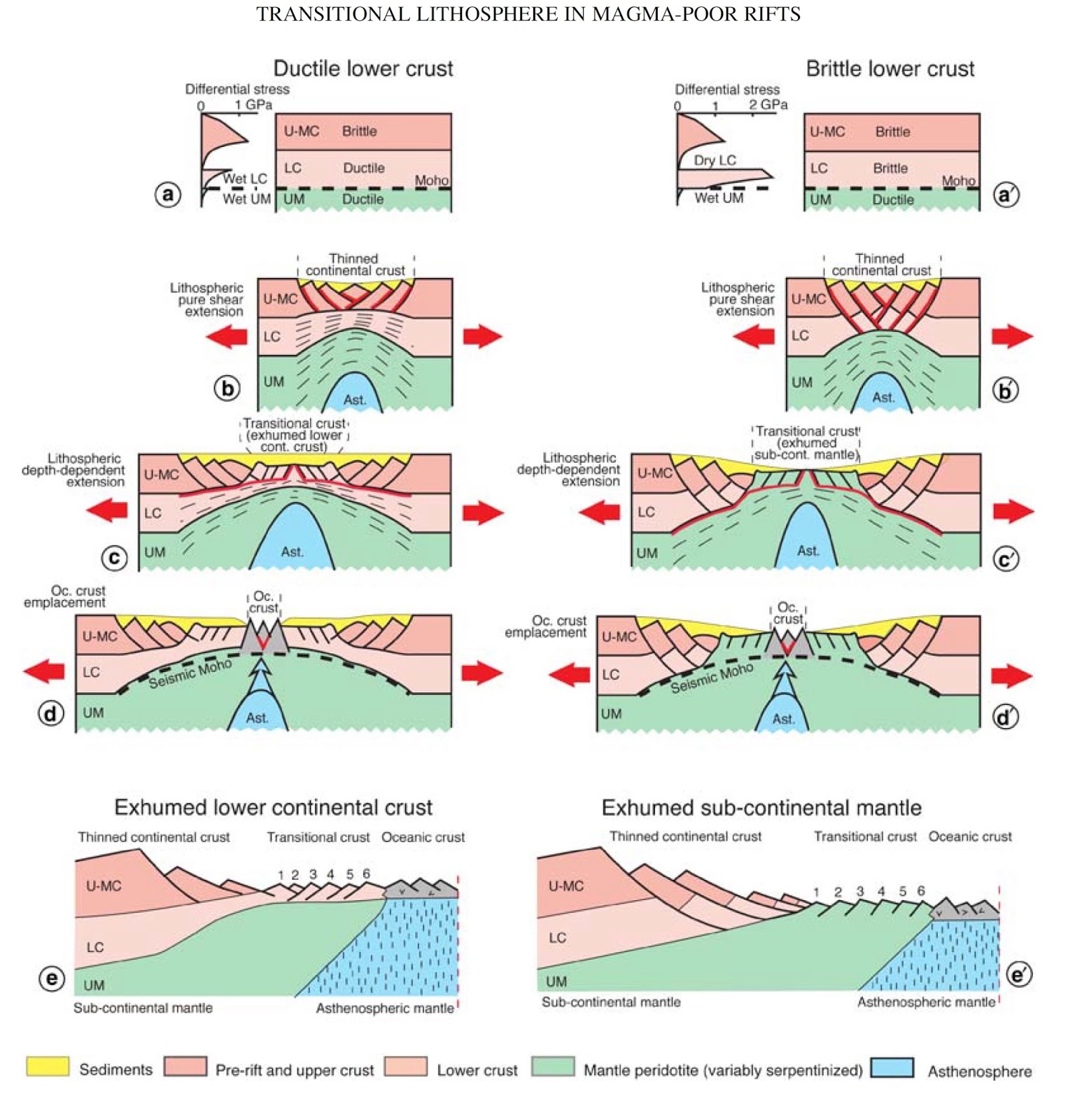 Conceptual model for the formation of transitional lithosphere in magma ...