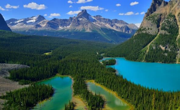 Imágenes Medio Ambiente