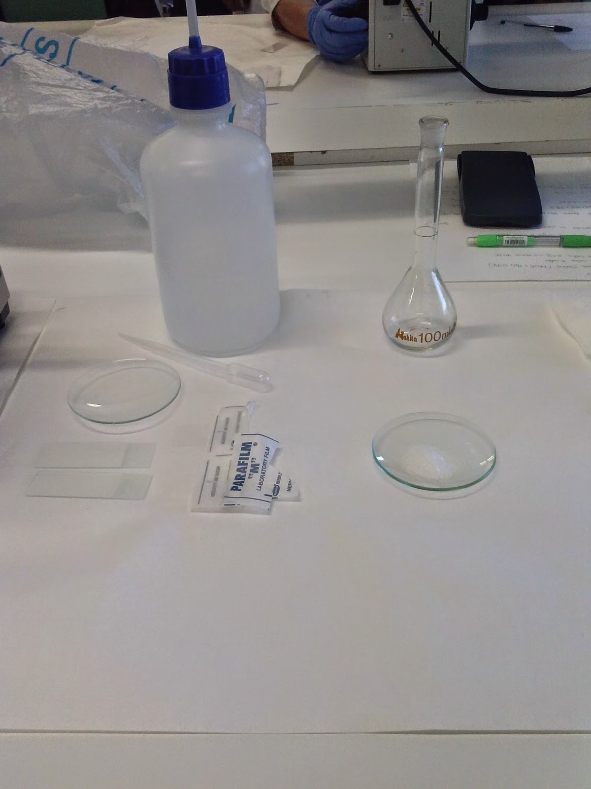 CUADERNO DE PRÁCTICAS: TINCION SUPRAVITAL CON AZUL DE METILENO