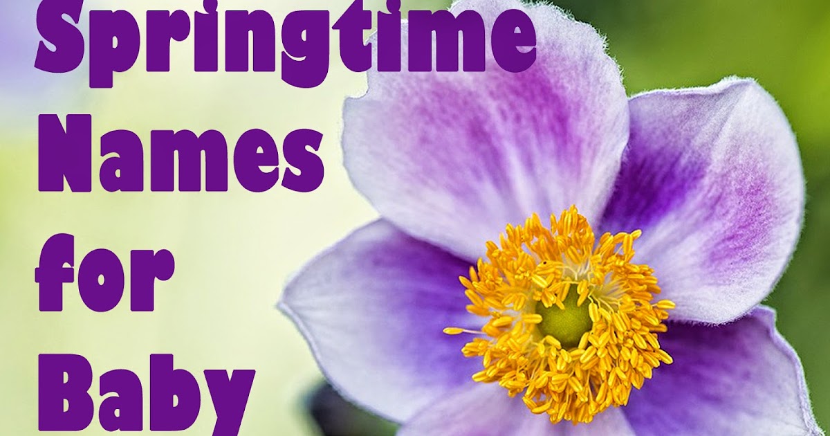 The Art of Naming: Blooming Springtime Names for Baby Girls