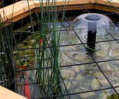 Water Feature Design | Child Safe Ponds - Water Feature Design