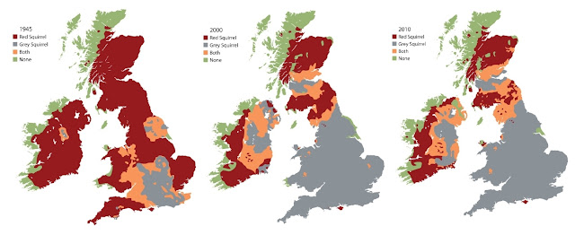 WHERE TO FIND RED SQUIRRELS |The Garden of Eaden