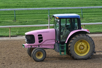 Let the Tide Pull Your Dreams Ashore: Run for the Roses Recap