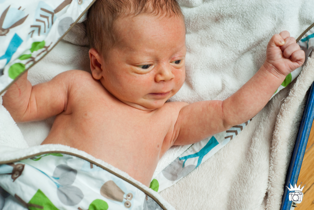 picturemefoto: thursday bebe ((flynn))