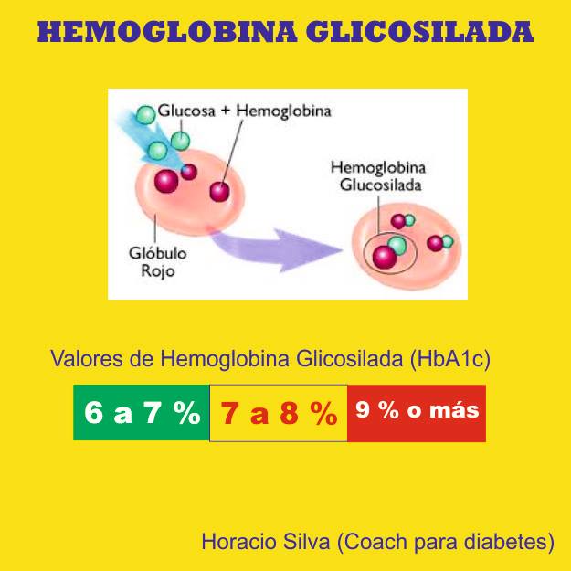 Guía del Diabetico: HEMOGLOBINA GLICOSILADA
