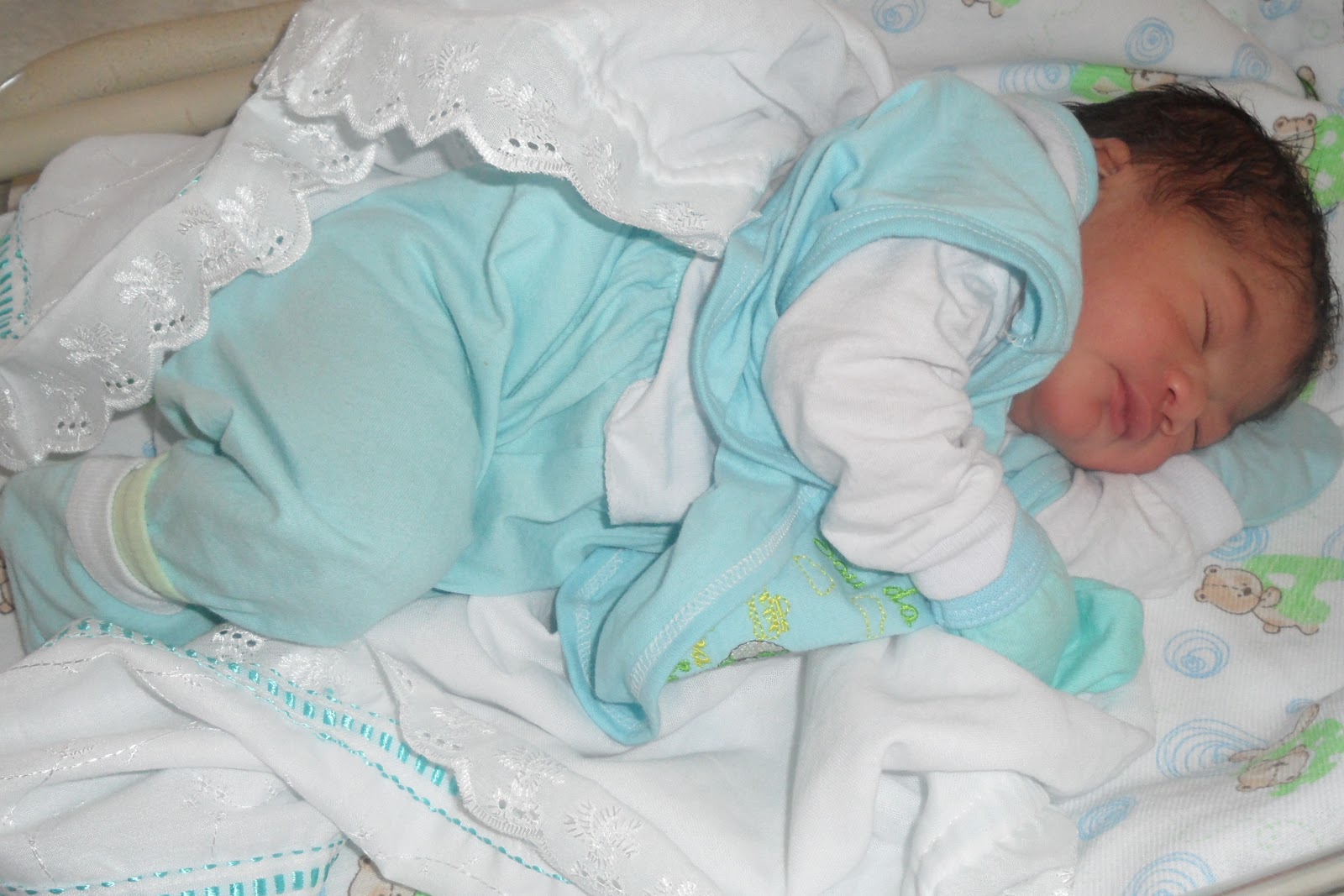 VIVA A VIDA: Dra. Zilda Arns Neumann - alma missionária